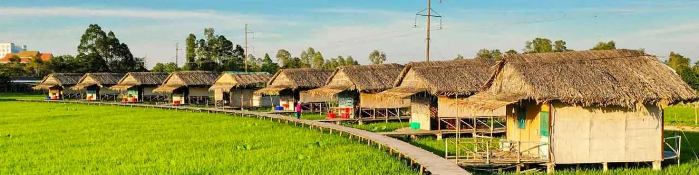 Review khu du lịch Sinh thái Mỹ Phước Thành: Địa chỉ, chi tiết giá vé