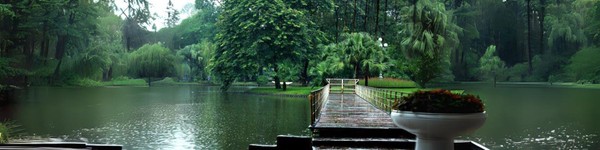 Công viên Bách Thảo: Điểm đến healing lý tưởng vào cuối tuần