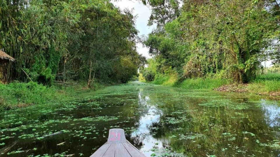 Khu du lịch sinh thái Gáo Giồng: Xứ sở của những loài chim